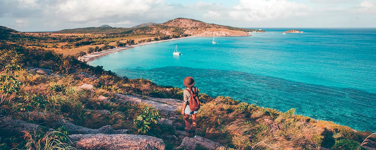 La forêt tropicale de Daintree au fil de l'eau - Excursion demi-journée ...