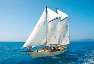 Le Wombat - Partir à la rencontre du Wombat en Australie - Voyages ...